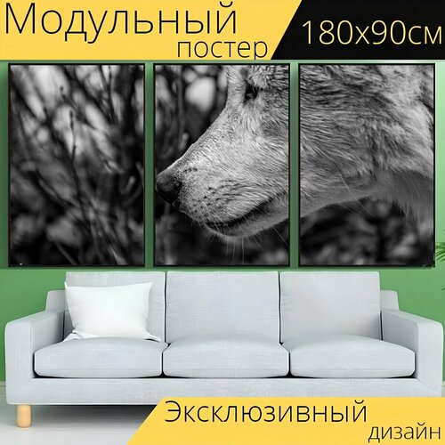 Модульный постер "Волк, природа, хищник" 180 x 90 см. для интерьера