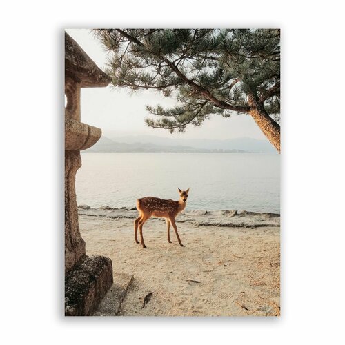 Постер, плакат на бумаге / Природа Японии - Олень / Размер 60 x 80 см
