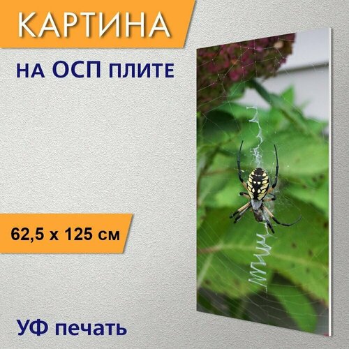 Вертикальная картина на ОСП "Паук, сеть, насекомое" 62x125 см. для интерьериа