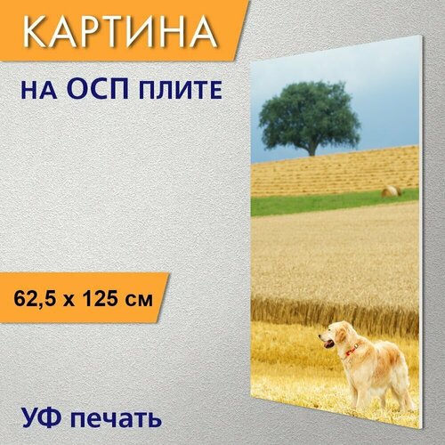Вертикальная картина на ОСП "Собака, золотистый ретривер, природа" 62x125 см. для интерьериа