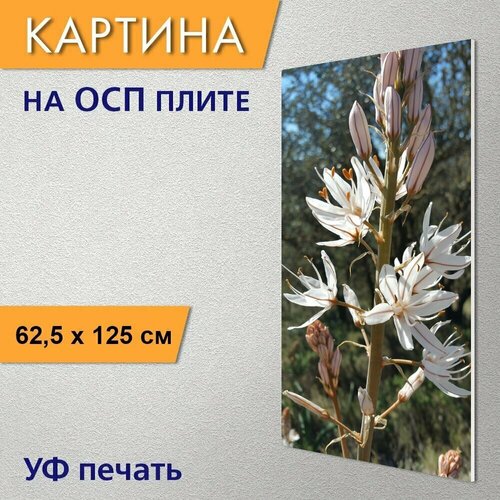 Вертикальная картина на ОСП "Цветок, природа, весна" 62x125 см. для интерьериа