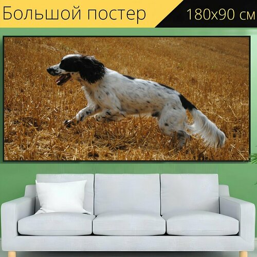 Большой постер "Охота, собака, спаниель" 180 x 90 см. для интерьера