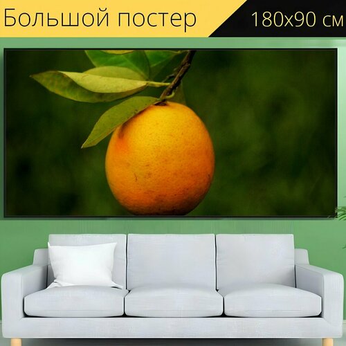 Большой постер "Апельсин, лимонный, фрукты" 180 x 90 см. для интерьера
