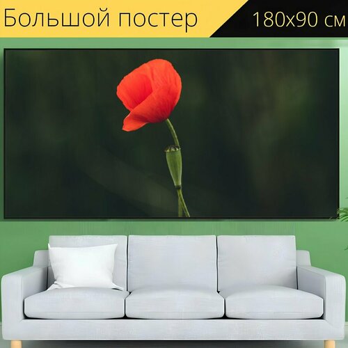Большой постер "Мак, цветок, красный цветок" 180 x 90 см. для интерьера