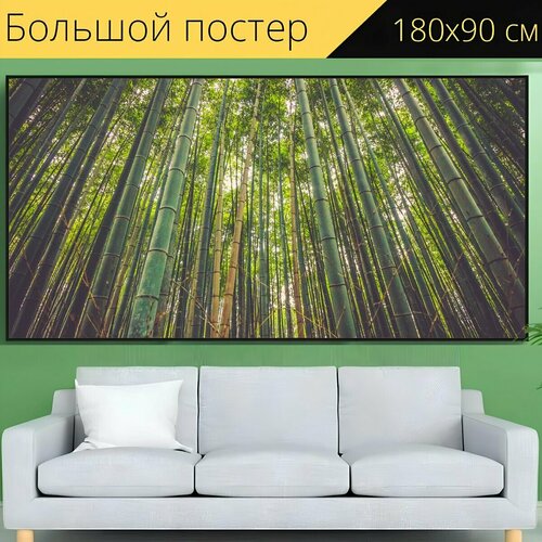 Большой постер "Бамбук, деревья, лес" 180 x 90 см. для интерьера
