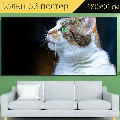 Большой постер "Кот, глаза, животное" 180 x 90 см. для интерьера