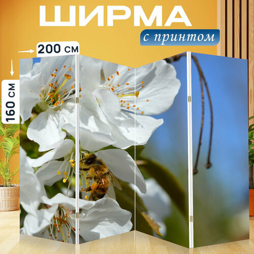 Ширма перегородка с принтом "Цветение вишни, белые цветки, пчела" на холсте - 200x160 см. для зонирования, раскладная