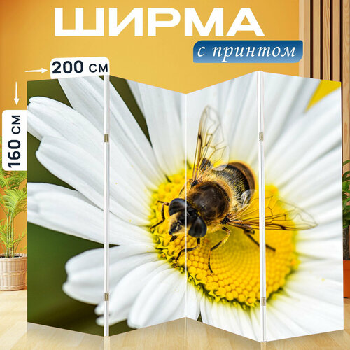 Ширма перегородка с принтом "Цветок, пчела, природа" на холсте - 200x160 см. для зонирования, раскладная