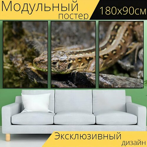 Модульный постер "Лесные ящерицы, ящерица, рептилия" 180 x 90 см. для интерьера