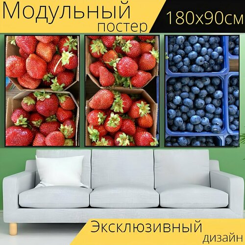 Модульный постер "Ягоды, черника, фрукты" 180 x 90 см. для интерьера