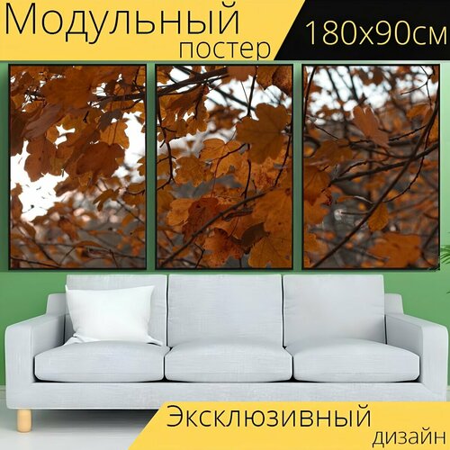 Модульный постер "Листья, ветви, осень" 180 x 90 см. для интерьера