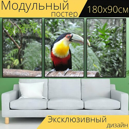 Модульный постер "Тукан, бразилия, птица" 180 x 90 см. для интерьера