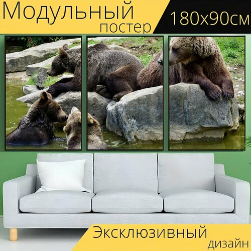 Модульный постер "Бурые медведи, молодые животные, плотина" 180 x 90 см. для интерьера