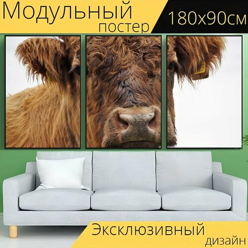 Модульный постер "Корова, крупный рогатый скот, животное" 180 x 90 см. для интерьера