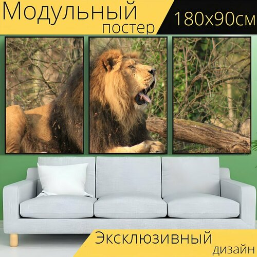 Модульный постер "Лев, животное, сафари" 180 x 90 см. для интерьера
