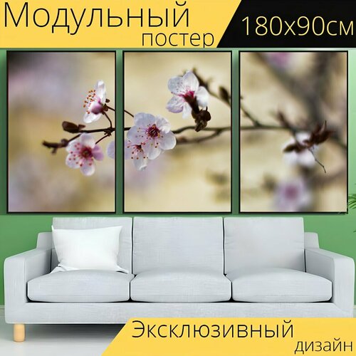 Модульный постер "Цветок, март, весна" 180 x 90 см. для интерьера