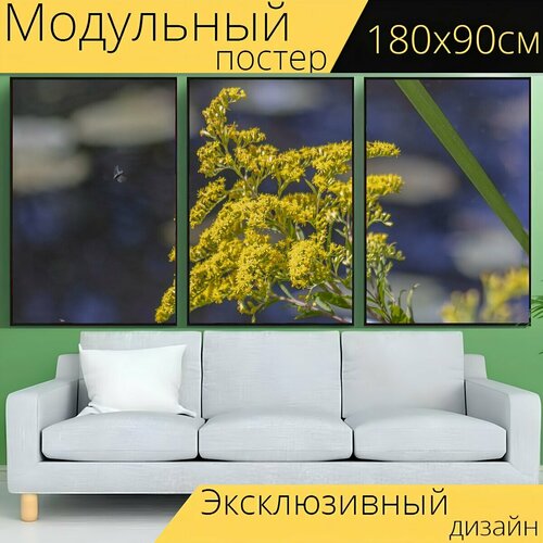 Модульный постер "Цветы, растения, полевой цветок" 180 x 90 см. для интерьера