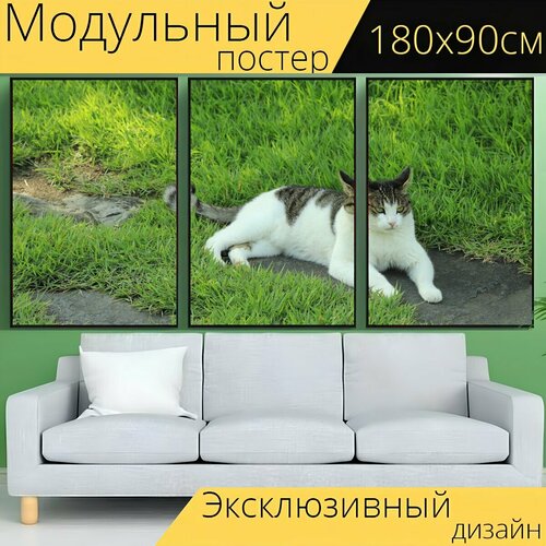 Модульный постер "Кот, животное, пэт" 180 x 90 см. для интерьера