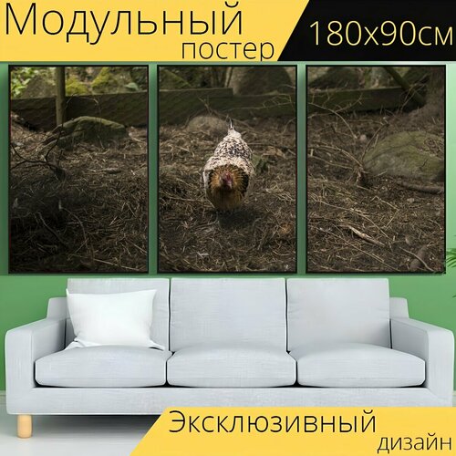 Модульный постер "Курица, ферма, животное" 180 x 90 см. для интерьера