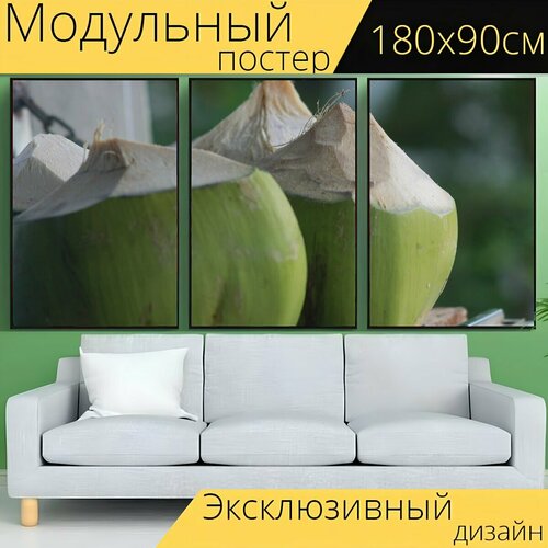 Модульный постер "Кокос, кокосовое, дерево" 180 x 90 см. для интерьера