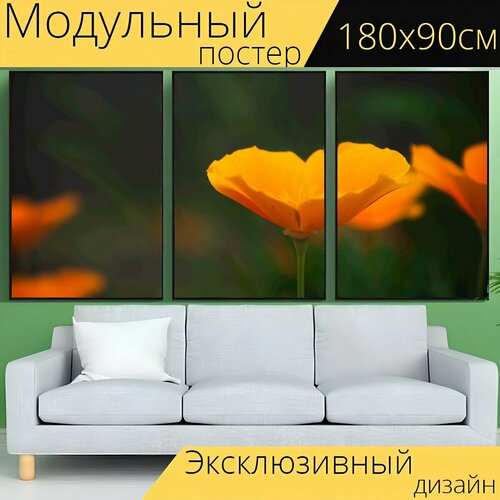 Модульный постер "Апельсин, цветок, сад" 180 x 90 см. для интерьера