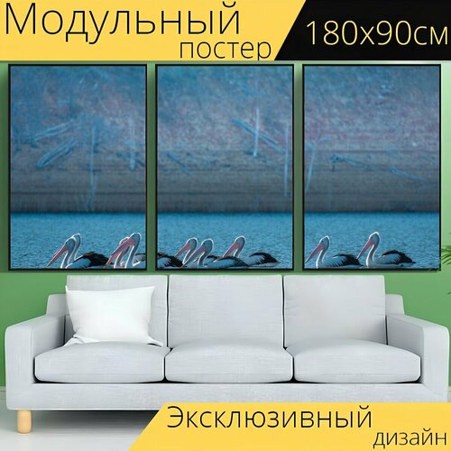 Модульный постер "Пеликан, озеро, природа" 180 x 90 см. для интерьера