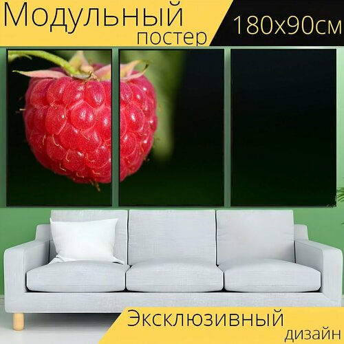 Модульный постер "Малина, фрукты, ягода" 180 x 90 см. для интерьера