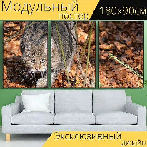 Модульный постер "Природа, животное, дикий кот" 180 x 90 см. для интерьера