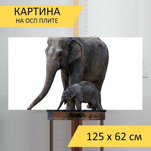 Картина на ОСП 125х62 см. "Слон, рога, уши" горизонтальная, для интерьера, с креплениями