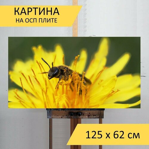 Картина на ОСП 125х62 см. "Природа, растения, цветы" горизонтальная, для интерьера, с креплениями