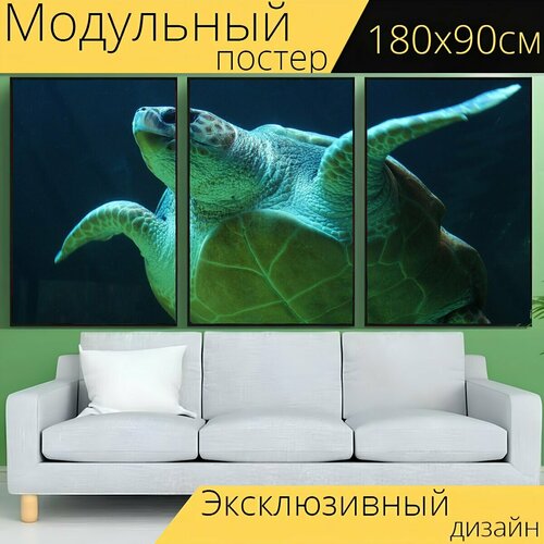Модульный постер "Подводный, черепаха, морская черепаха" 180 x 90 см. для интерьера
