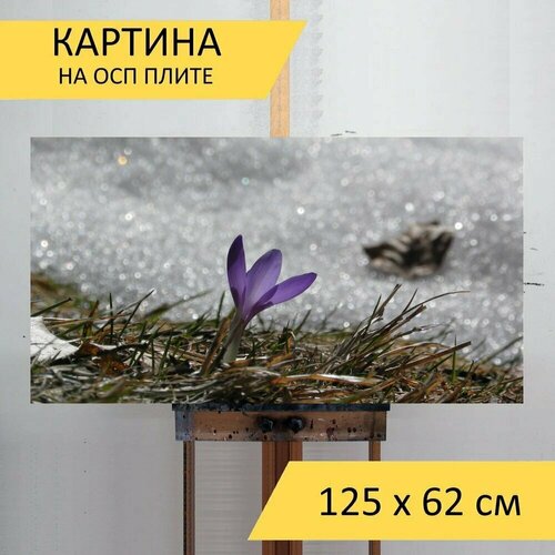 Картина на ОСП 125х62 см. "Крокус, цветок, снег" горизонтальная, для интерьера, с креплениями