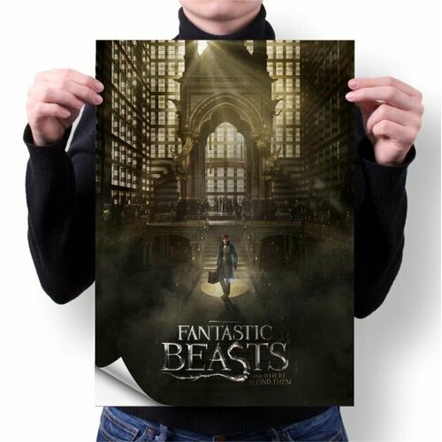 Плакат Фантастические твари, Fantastic Beasts №8, А4