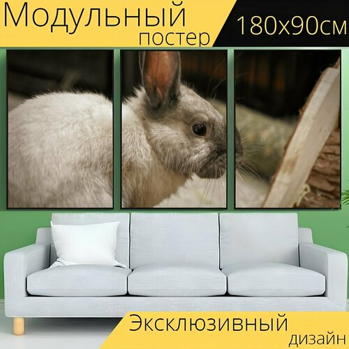 Модульный постер "Карликовый кролик, цвет карлика, домашнее животное" 180 x 90 см. для интерьера