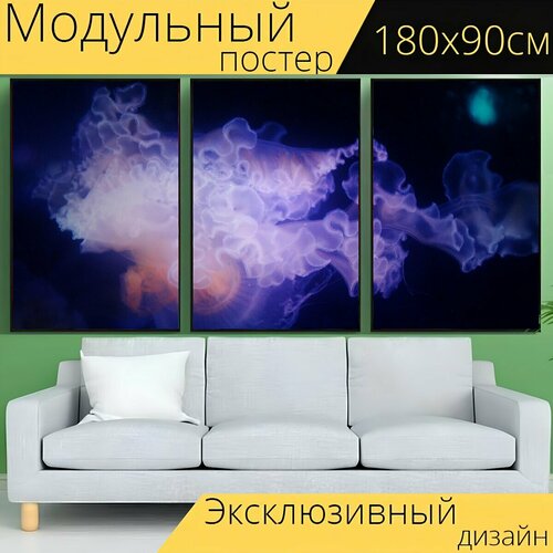 Модульный постер "Медуза, природа, мир" 180 x 90 см. для интерьера