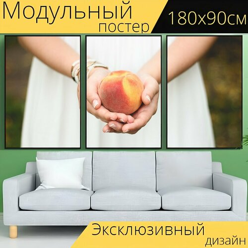 Модульный постер "Персик, фрукты, руки" 180 x 90 см. для интерьера