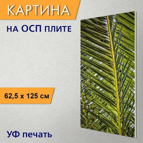 Вертикальная картина на ОСП "Пальмовые листья, пальма, завод" 62x125 см. для интерьериа