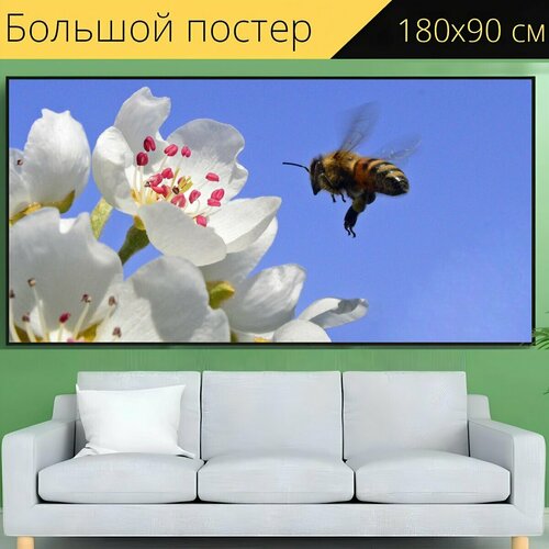 Большой постер "Пчела, насекомое, цветок" 180 x 90 см. для интерьера