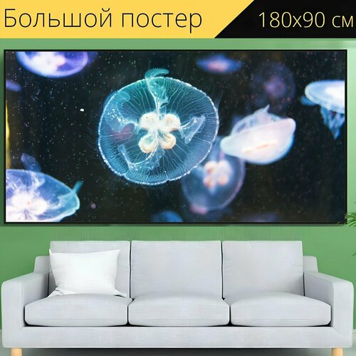 Большой постер "Аквариум, природа, медуза" 180 x 90 см. для интерьера
