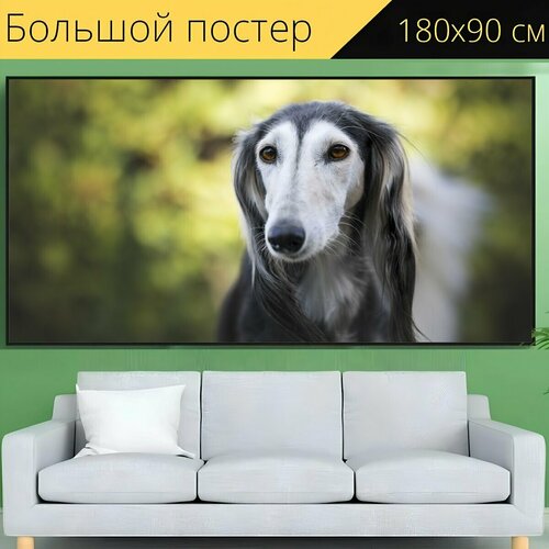 Большой постер "Животное компанию, собака, животные" 180 x 90 см. для интерьера
