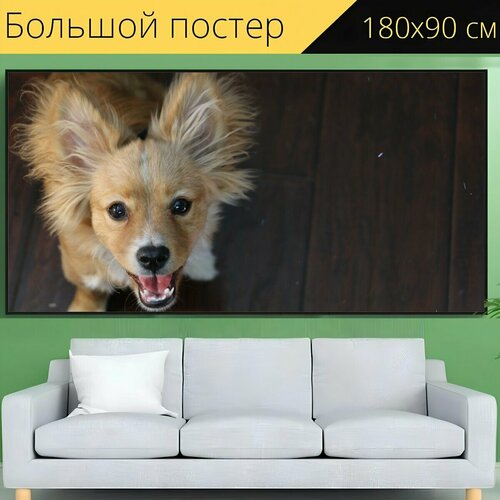 Большой постер "Собака, щенок, милый" 180 x 90 см. для интерьера