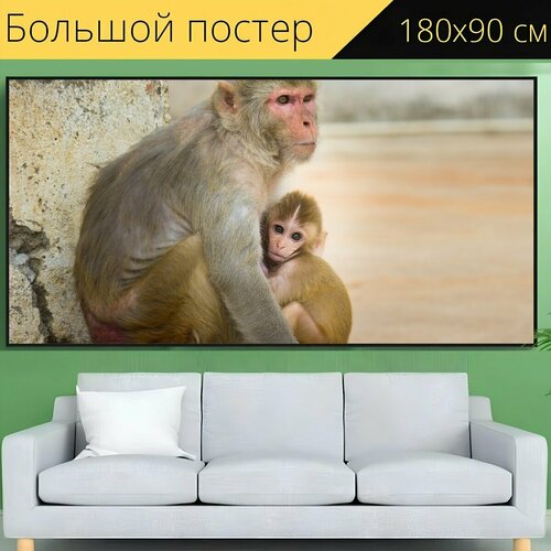 Большой постер "Обезьяна, примат, зоопарк" 180 x 90 см. для интерьера