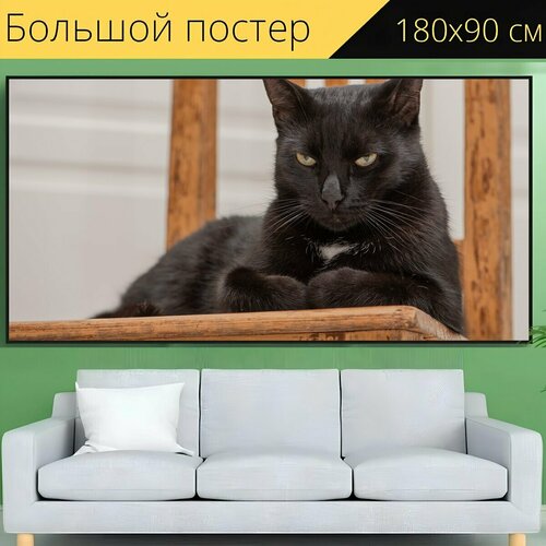 Большой постер "Кошка, котенок, черный кот" 180 x 90 см. для интерьера