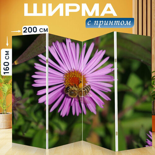 Ширма перегородка с принтом "Цветок, пчела, астра" на холсте - 200x160 см. для зонирования, раскладная
