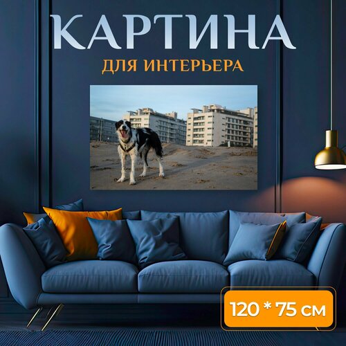 Картина на холсте "Собака, португалия, пляж" на подрамнике 120х75 см. для интерьера