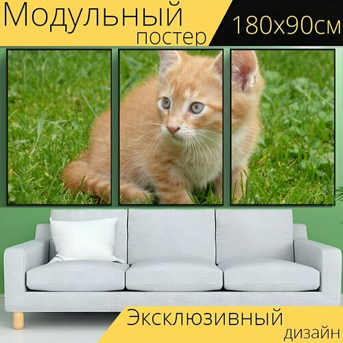 Модульный постер "Кошка, малые, котенок" 180 x 90 см. для интерьера