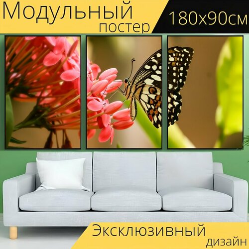 Модульный постер "Бабочка, природа, липовая бабочка" 180 x 90 см. для интерьера
