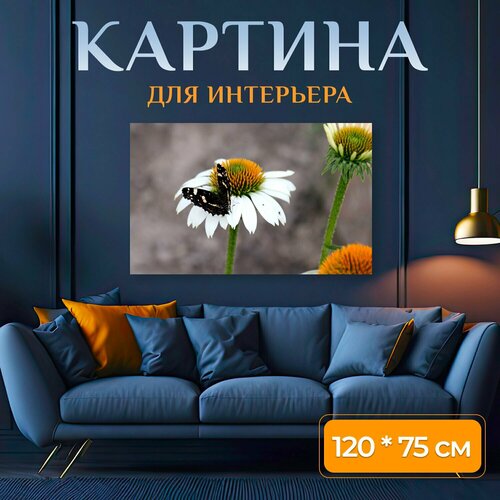Картина на холсте "Бабочка, цветок, лепестки" на подрамнике 120х75 см. для интерьера