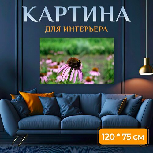 Картина на холсте "Лето, цветы, разнотравье" на подрамнике 120х75 см. для интерьера