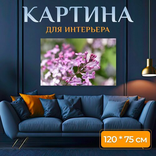 Картина на холсте "Сиреневый цветок, розовый, сиреневый аромат" на подрамнике 120х75 см. для интерьера